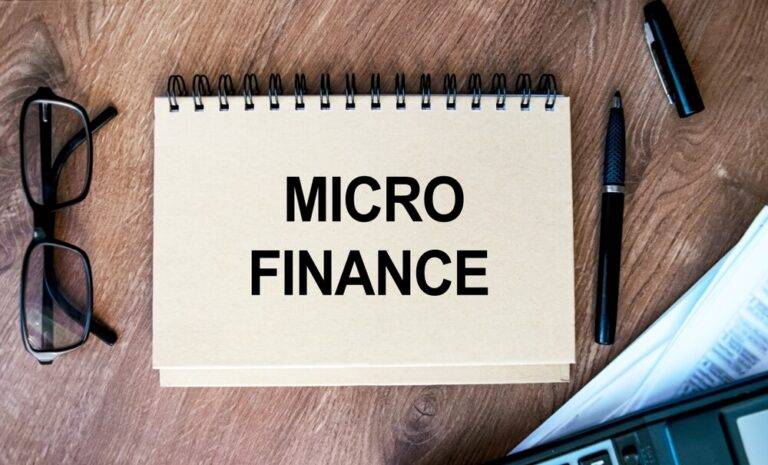 The Top 10 Microfinance Companies in India, 2024