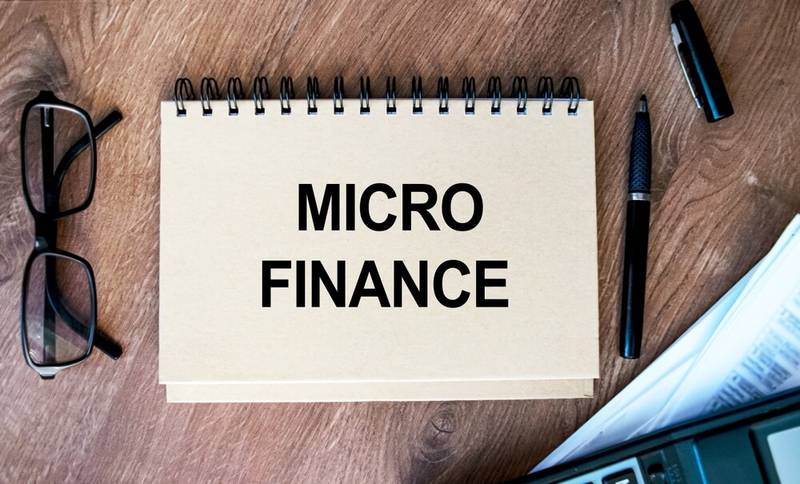 The Top 10 Microfinance Companies in India, 2024